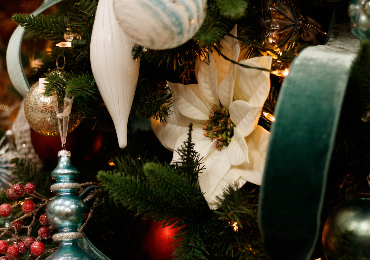 Stephanie Strack, NW Arkansas Merry Maker – Hello Holidays